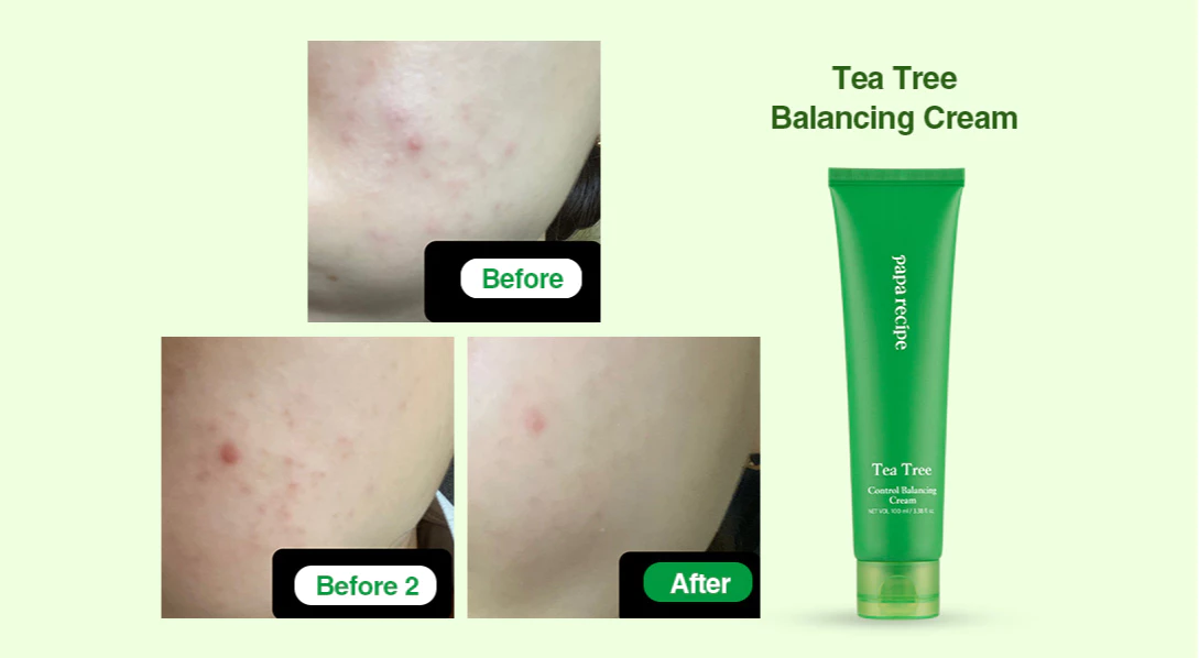 The Complex and Diverse of Pre-colonial Philippines Before Spanish Arrival